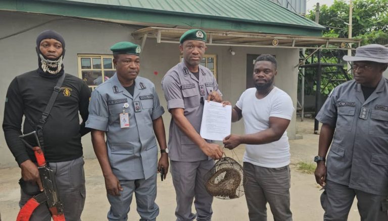 Africa’s 2026 Action Plan to Stop Pangolin Trafficking