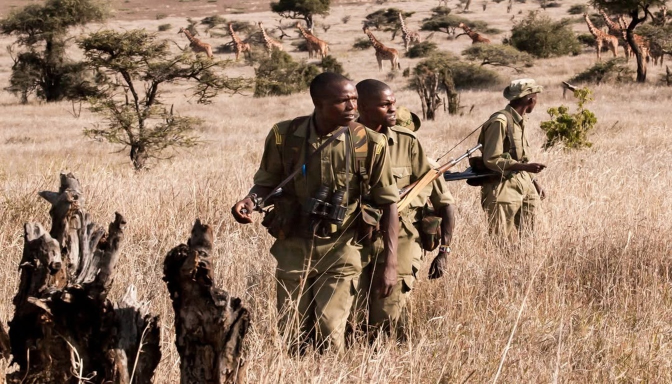 WCTP Cuts Poaching by 79% in Maasai Mara