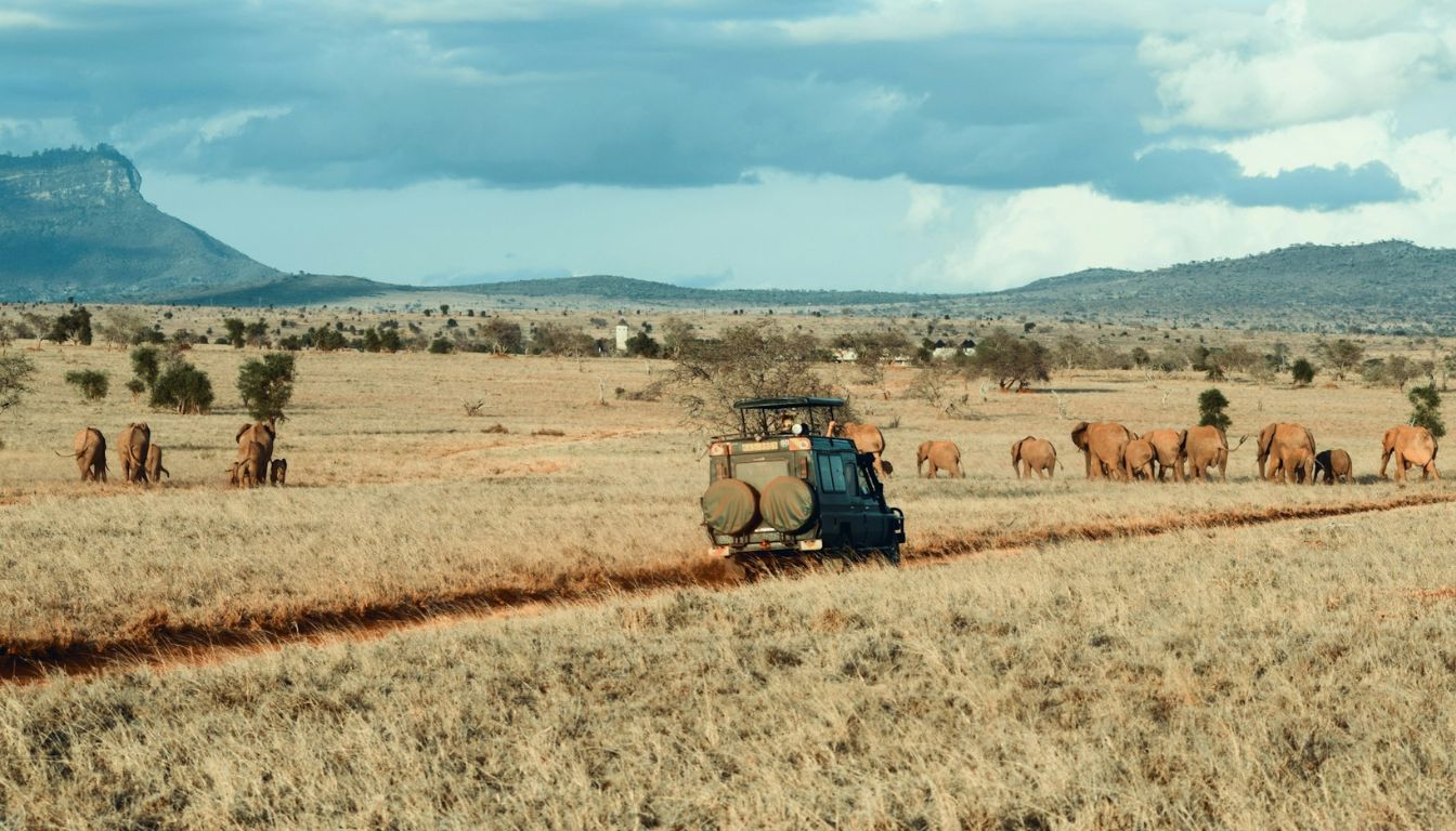 Chobe National Park safari Costs 2026: Complete Price Guide